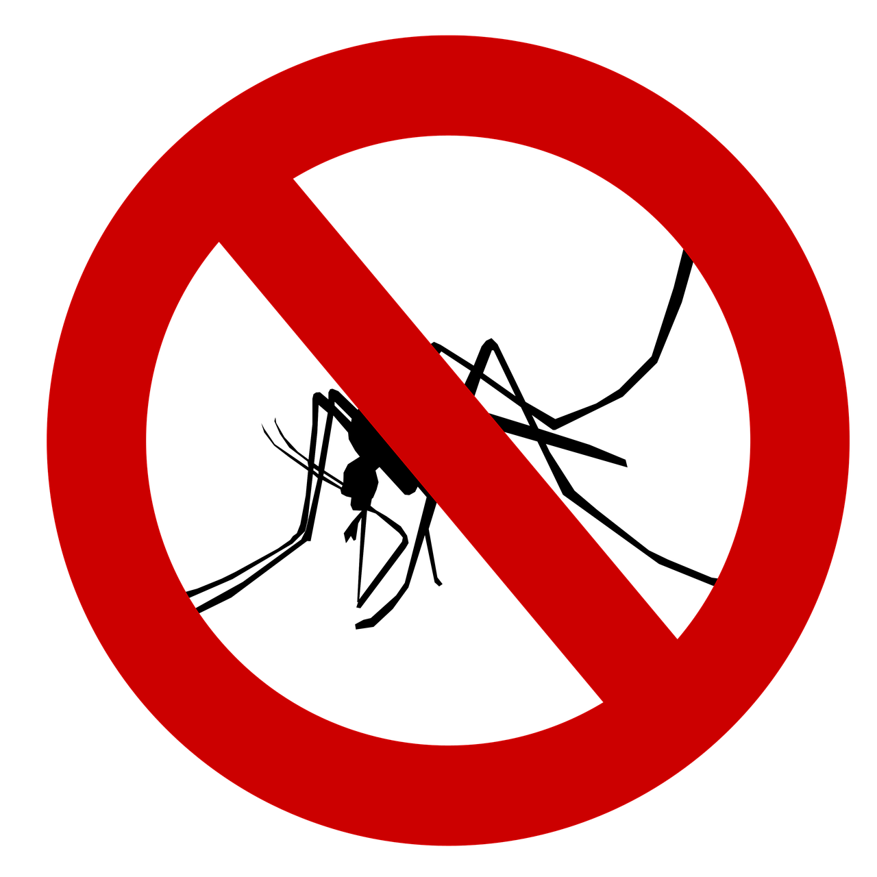 mosquito-schnake-sting-1465062 – Andalab Medical Laboratories